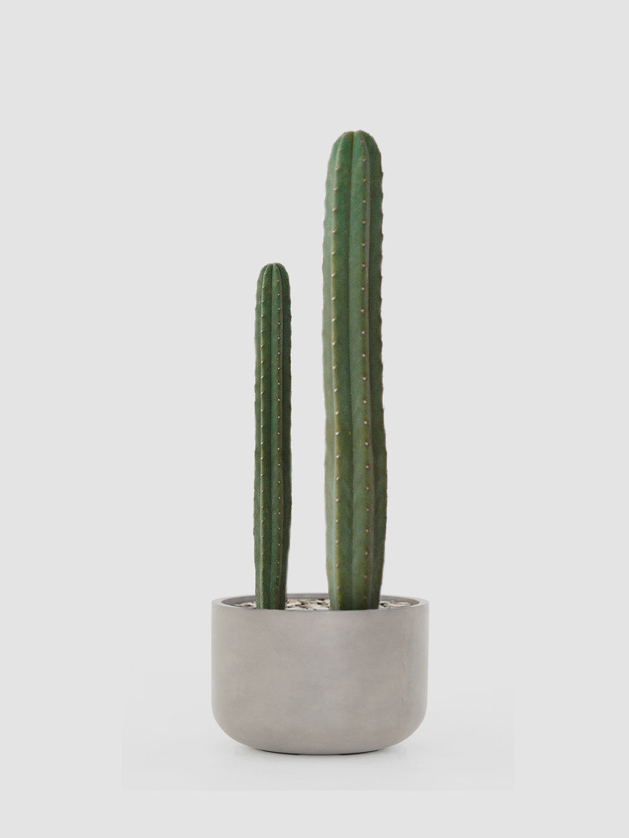 All – Cactus Supply Company